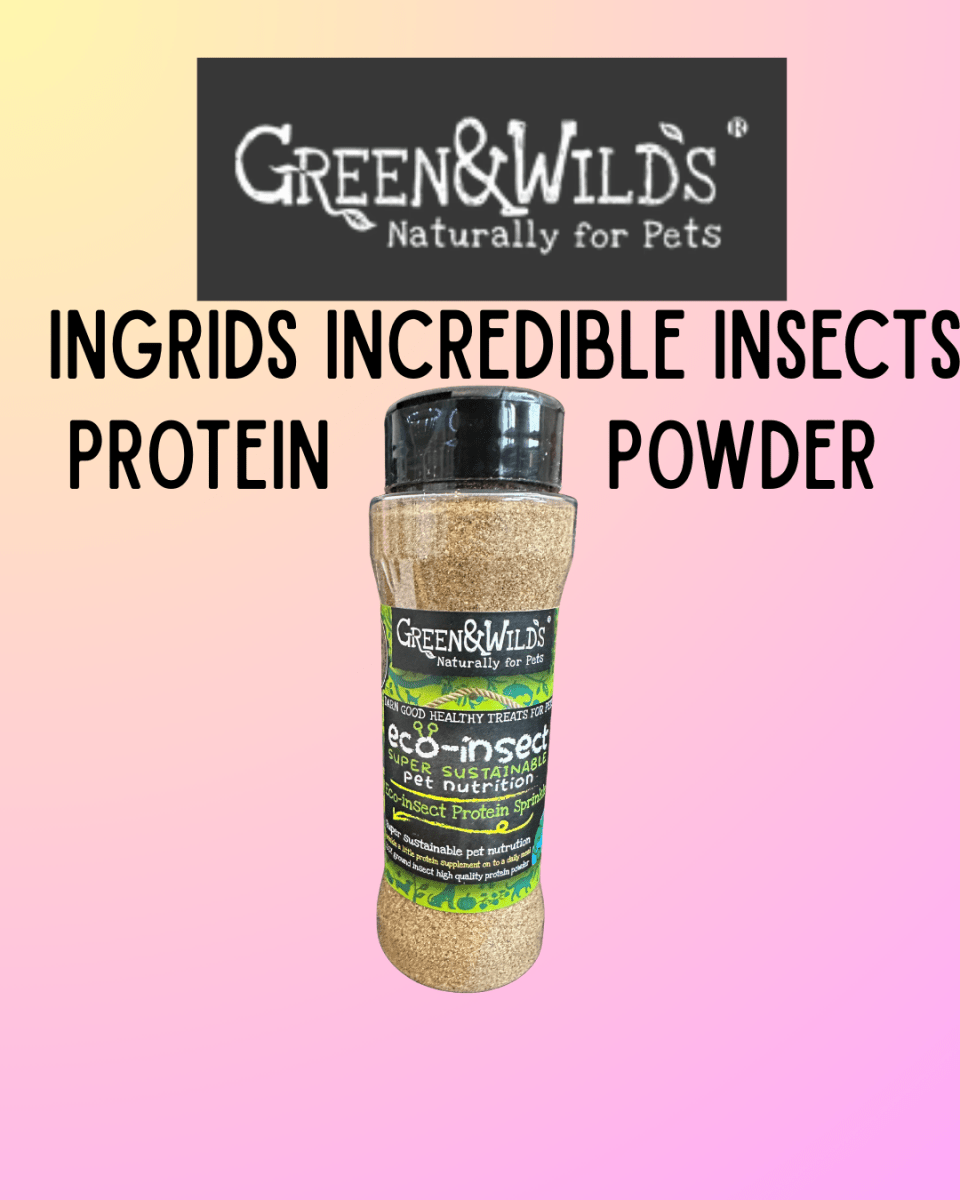 Ingrid's Incredible Insects' Insect Protein Powder, 165ml - Green & Wi ...