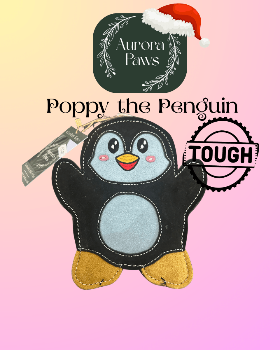 Poppy the Penguin TOUGH Eco Dog Toy from Aurora Paws – Bee Haven ...